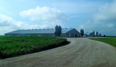 How Christensen Farms worked its way through COVID-19 | Successful Farming