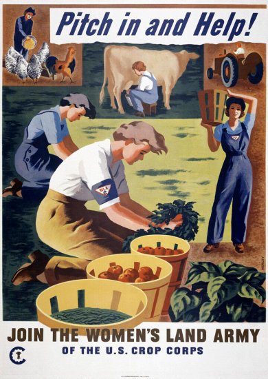 Wartime farm women fought from home | Successful Farming