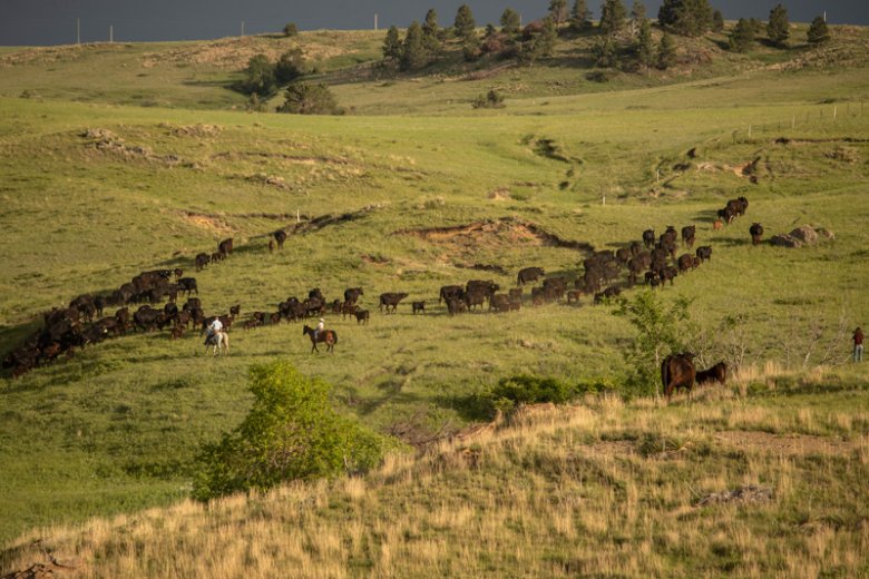 Building a better ranch | Successful Farming