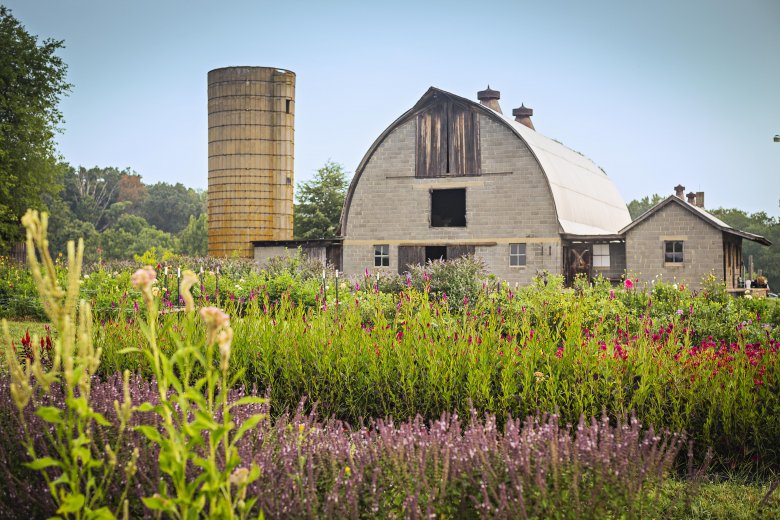 Starting a flower farm | Successful Farming