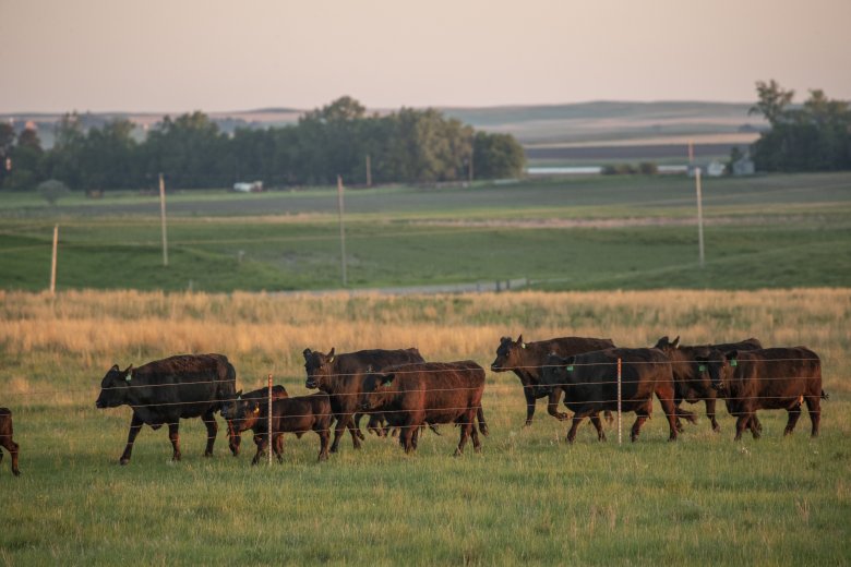The economic value of rotational grazing | Successful Farming