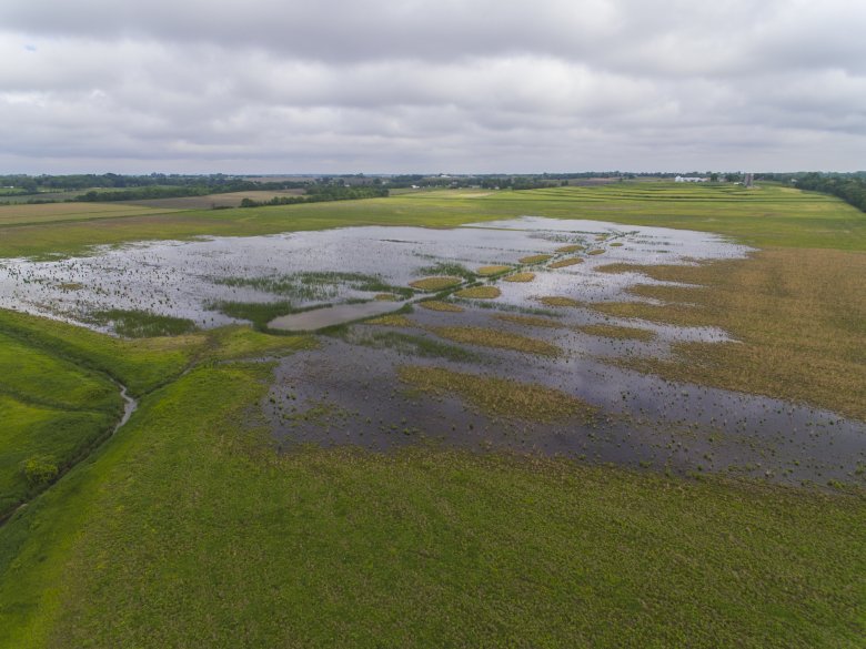 USDA invests nearly $5 million in Wetland Mitigation Banking Program ...