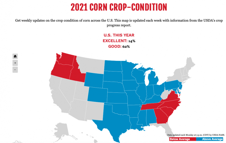 USDA releases strong corn good/excellent rating | Successful Farming