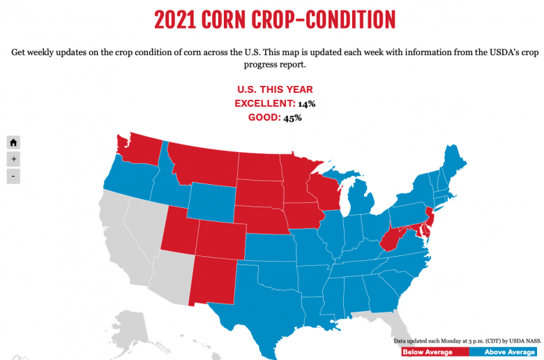 U.S. corn crop condition falls, USDA says | Successful Farming