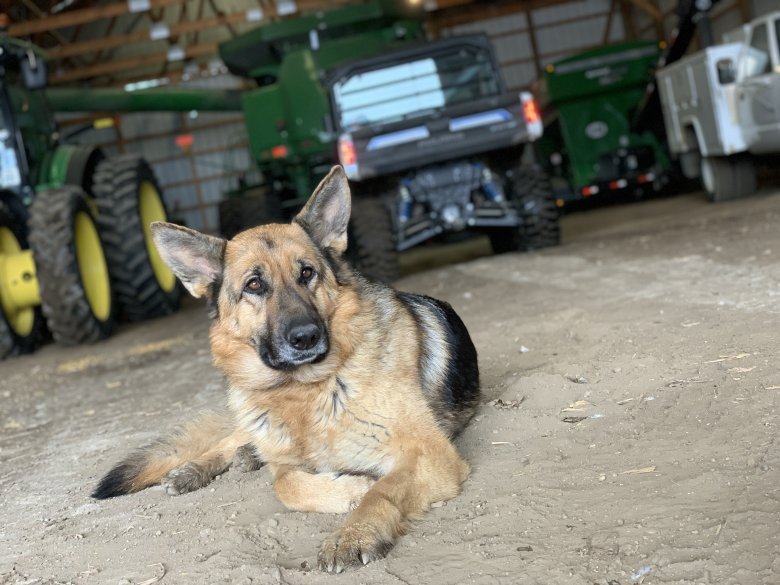 Here's what Millennial Farmer thinks of the new electric Polaris Ranger ...