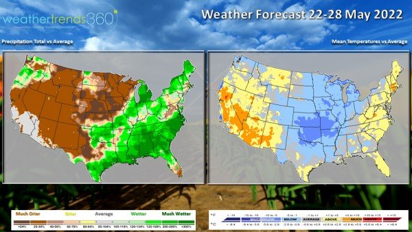 Weather challenges as optimal corn planting window closes | Successful ...