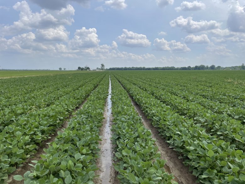 Storm season begins in the Delta | Successful Farming