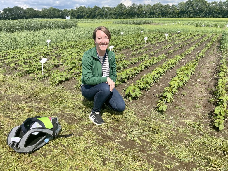 Carbon and sustainable farming lessons from Danish agriculture ...