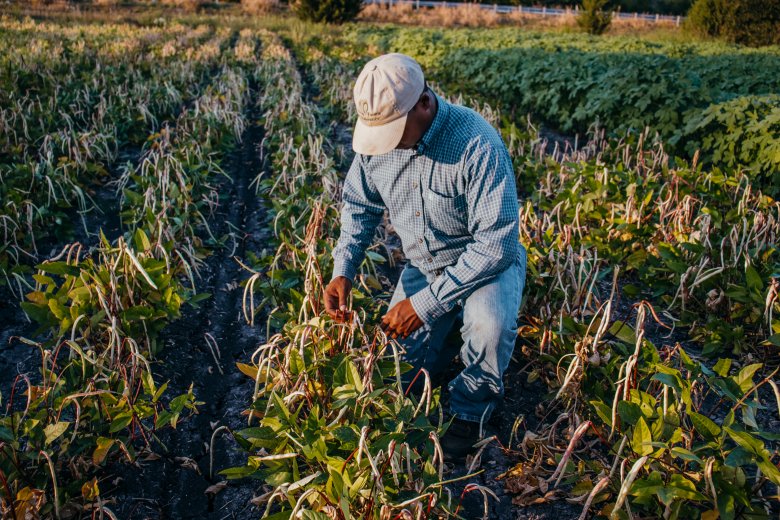 Opportunity knocks for this first-generation Texas farmer | Successful ...