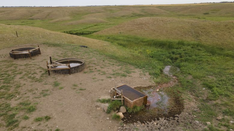 Rotational grazing revival | Successful Farming