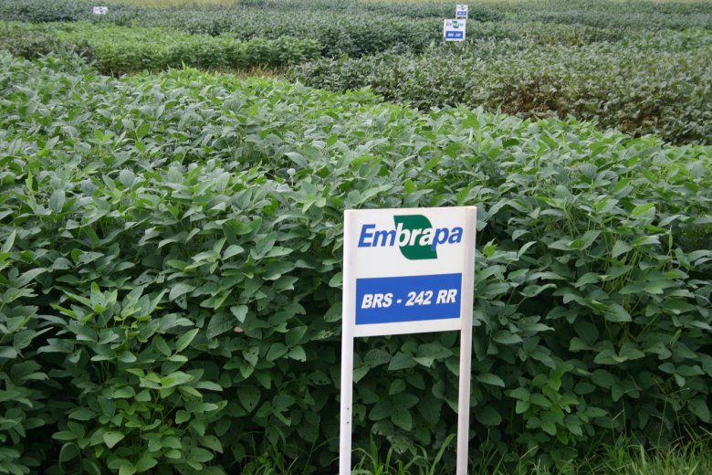 SF Special: Brazil’s Soybean Success Is Rooted in the U.S. | Successful ...