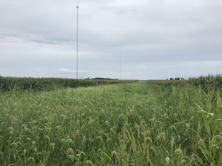 Layers of Leading-Edge Conservation on Iowa Farms | Successful Farming