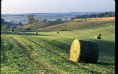 Hay and Forage | Successful Farming