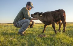 Livestock | Successful Farming