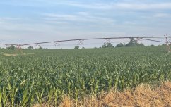 Crops News | Successful Farming