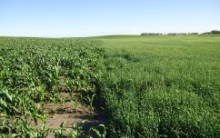 Conservation | Successful Farming