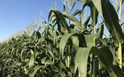 Crop Protection | Successful Farming