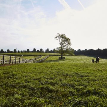 Still time to start prepping for pasture renovations in 2021 ...