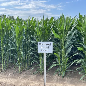 New advances for Enlist traits in corn and soybeans | Successful Farming