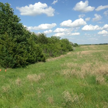 Trees belong in Nebraska | Successful Farming