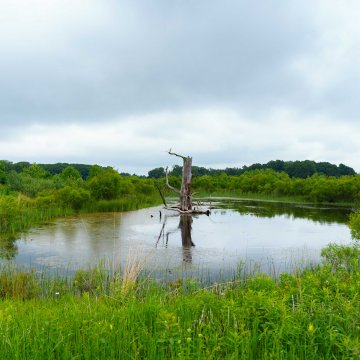 USDA streamlines Conservation Easement Program | Successful Farming