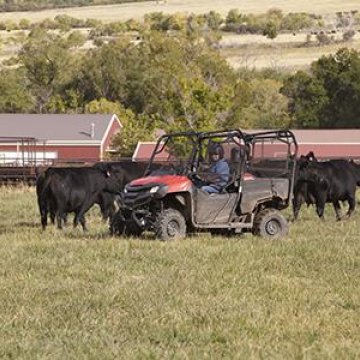 Explore Little Goose Ranch