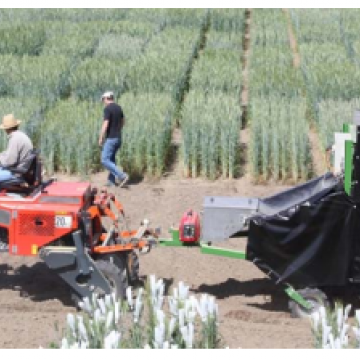 Sensor Technology on Your Farm