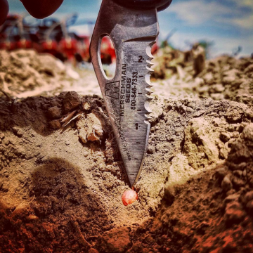 Crop Progress Photos: May 31, 2016 | Successful Farming