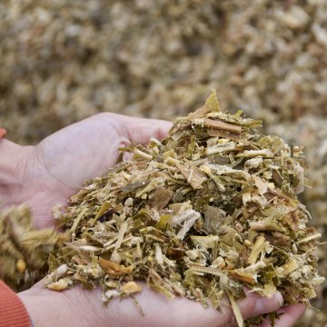 Feeding High-Quality Forage Helps Milk Production | Successful Farming