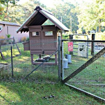 Repurposed chicken coops | Successful Farming
