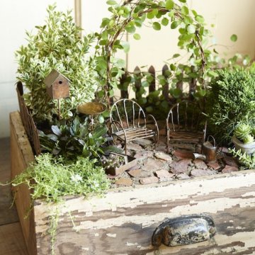 5 ways to turn old drawers into planters | Successful Farming