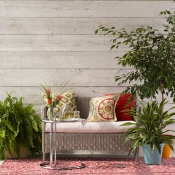 Moving Houseplants Outside | Successful Farming