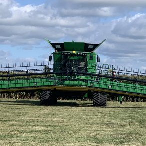 9 Tips for Dealing with Down Corn