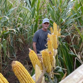 No 'dog days of summer' for Corn Belt in August | Successful Farming