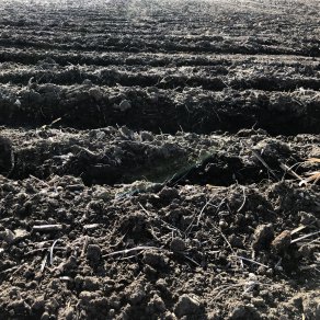 The subtle science behind soil aggregates | Successful Farming