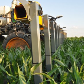 Corn Growing 101 | Successful Farming