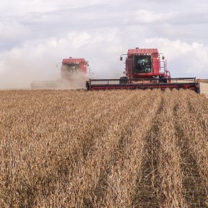 Ukraine To Fill China’s Corn Needs, Replacing U.S. Product | Successful ...