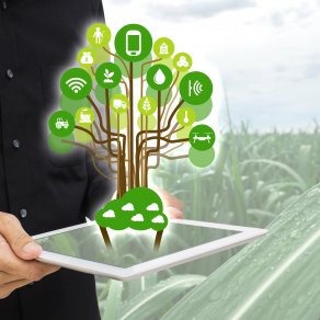 CropTrak adds financial framework to its digital supply chain ...