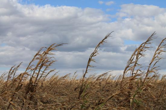 2020 weather roundup | Successful Farming