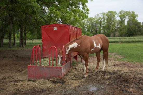 Reducing horse hay waste | Successful Farming