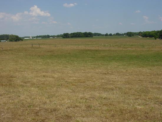 Managing drought-damaged pastures | Successful Farming