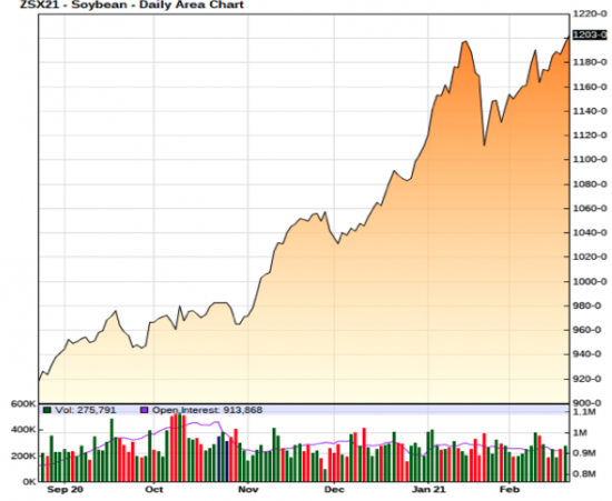 New-crop soybean price hits $12 per bushel Monday | Successful Farming