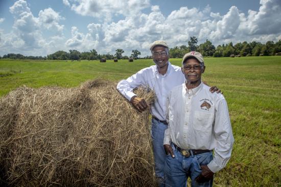 ‘Legitimate reason’ behind debt relief for minority farmers, says ...