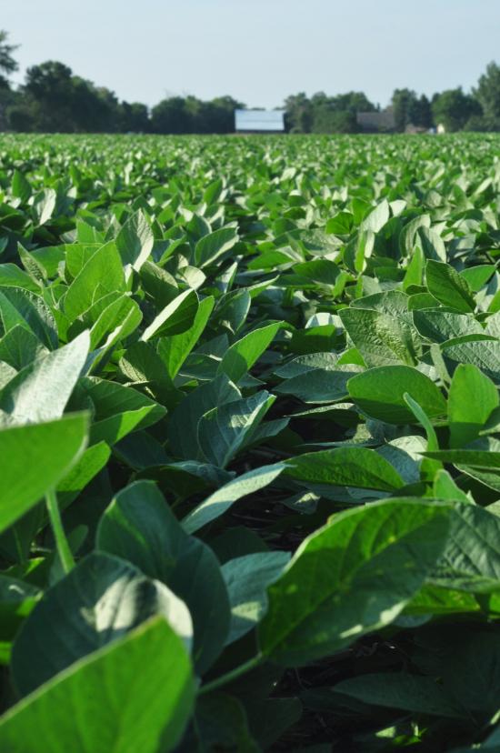 Inari forms collaboration with Mertec and MS Technologies | Successful ...