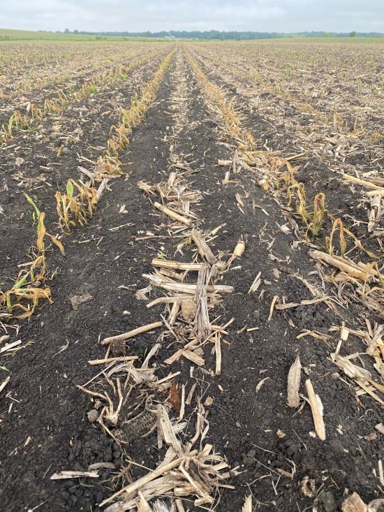 Late frost and dry weather cause crop damage | Successful Farming