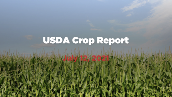 USDA Crop Report | July 12, 2021 | Successful Farming