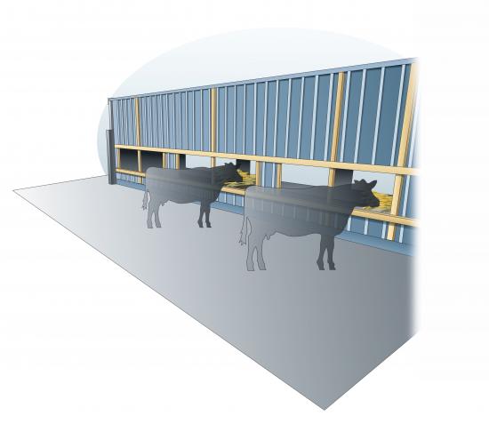 Shipping container feeding station | Successful Farming