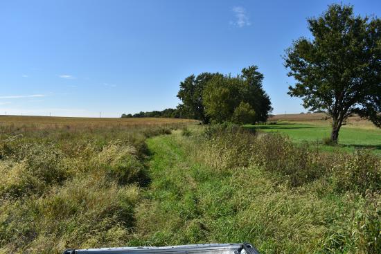 Research shows more riparian buffer strips can protect waterways ...