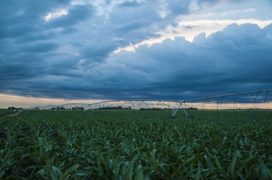 How to reduce agronomic risk | Successful Farming