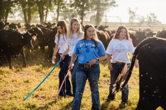 Give FFA Day invites donors to give back | Successful Farming